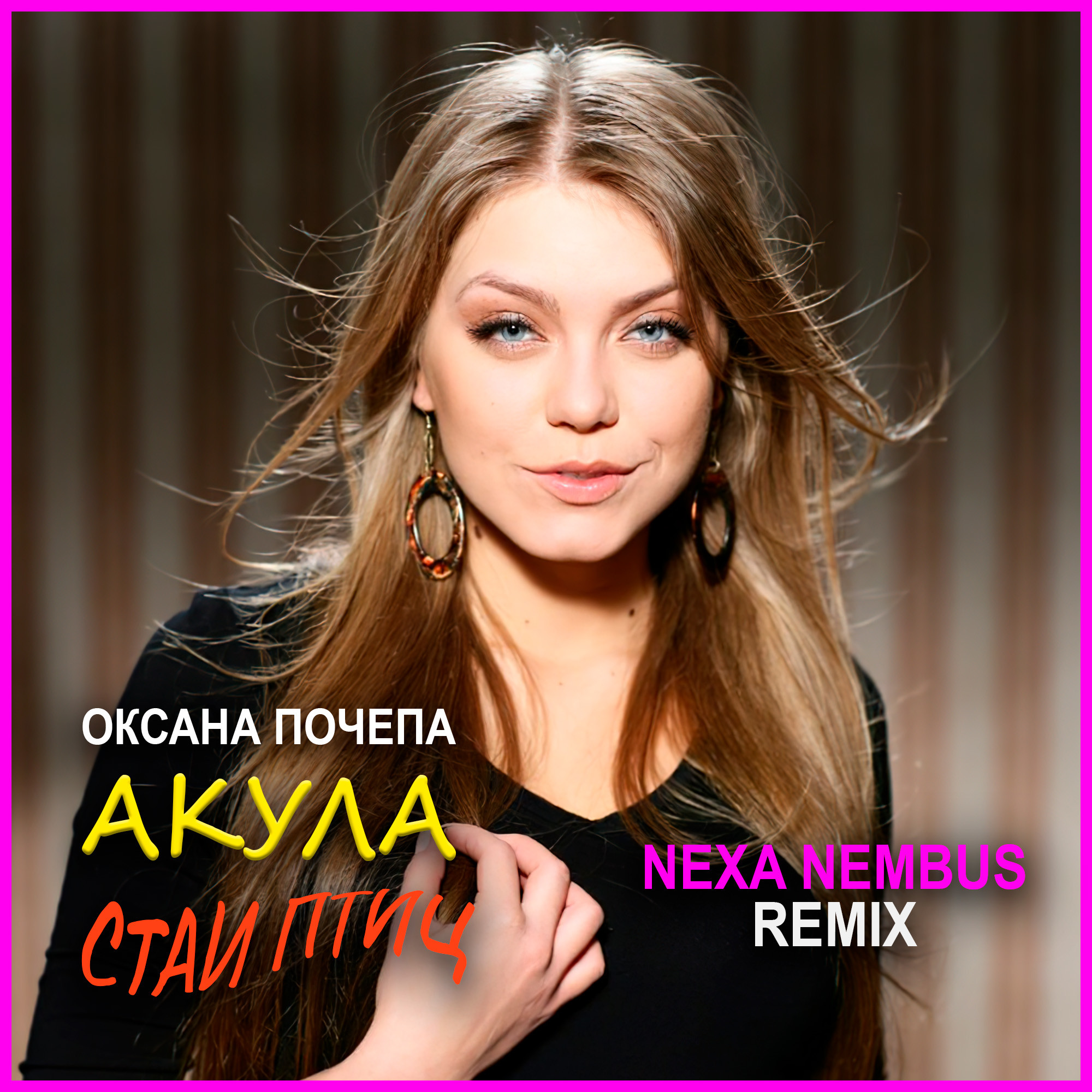 Оксана Почепа (Акула) - Стаи птиц (Nexa Nembus Remix) – Nexa Nembus