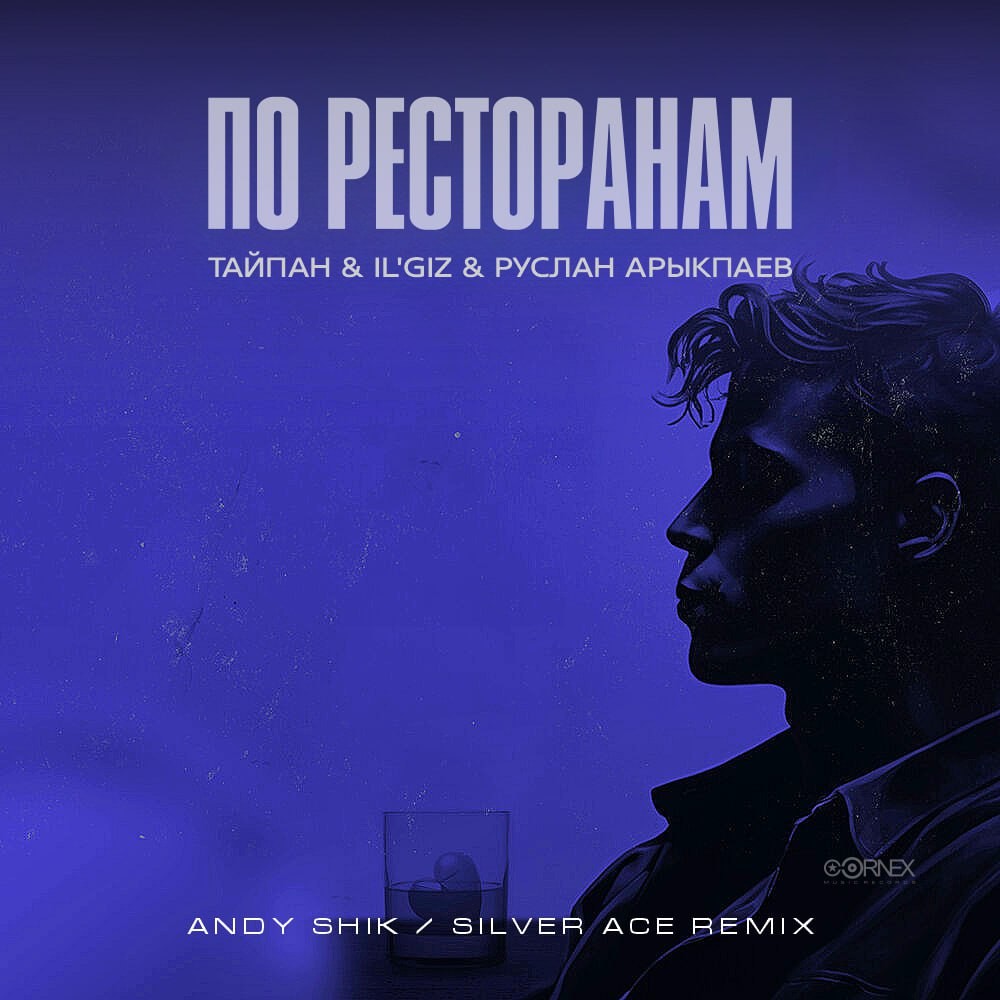 Тайпан,IL'GIZ,Руслан Арыкпаев - По ресторанам(Andy Shik & Silver Ace ...