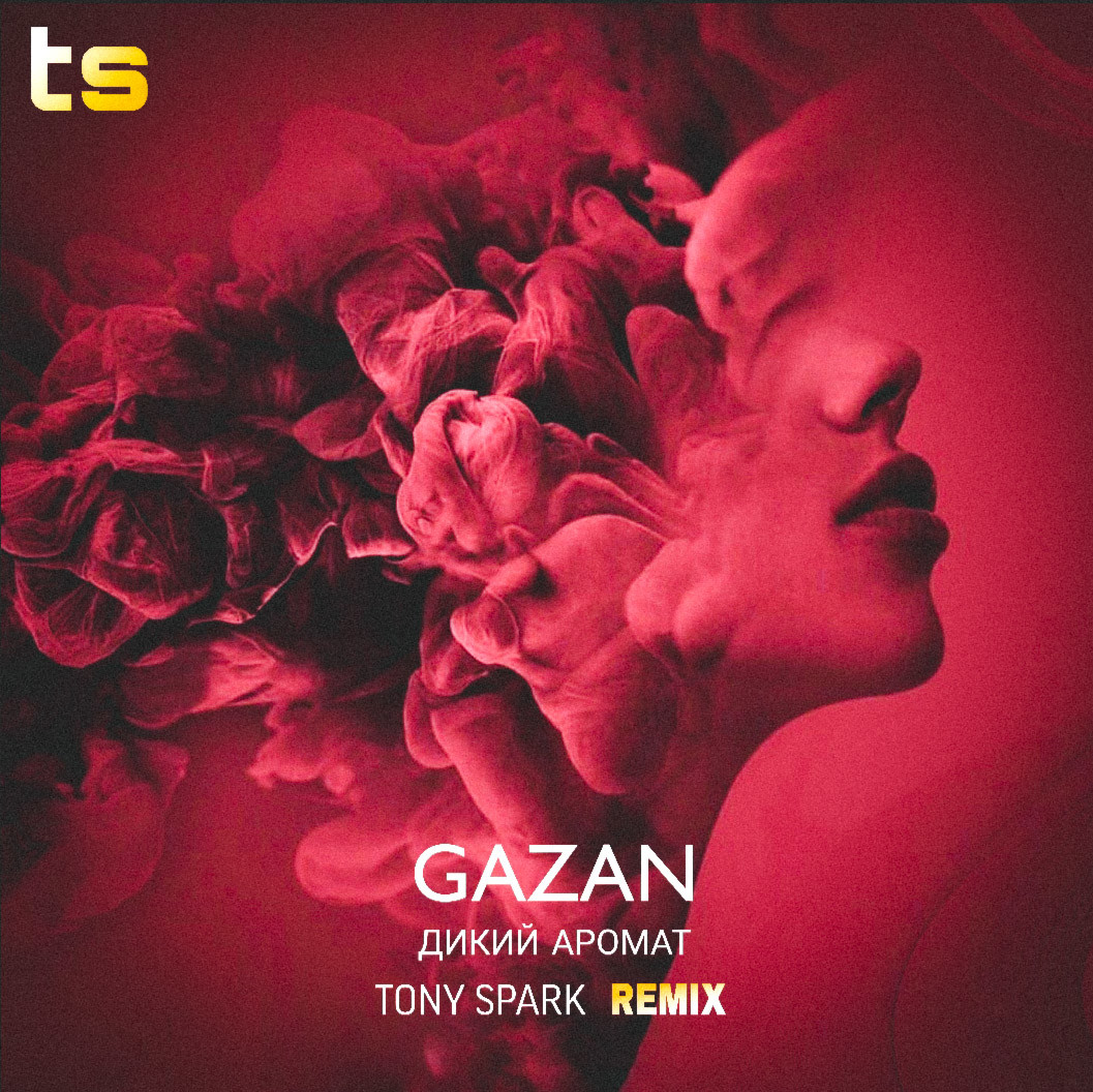 Gazan - Дикий аромат (Tony Spark Extendet Remix) – Tony Spark