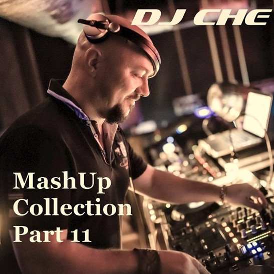 Pink, Perfectov - So what (DJ Che MashUp) – DJ Che (Москва)