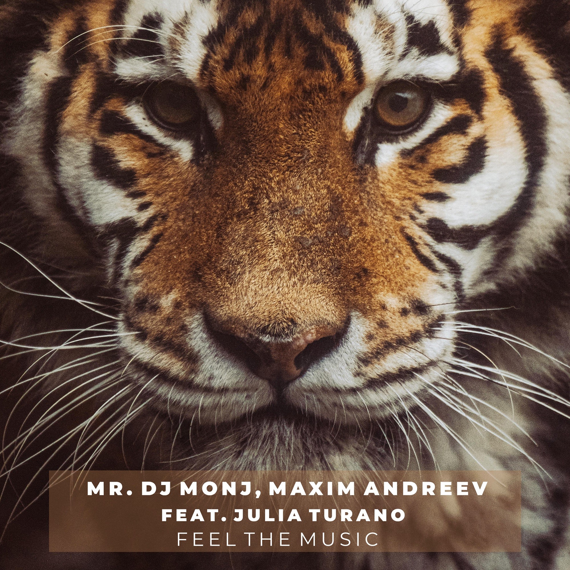 Mr. DJ Monj, Maxim Andreev feat Julia Turano - Feel The Music (Original ...