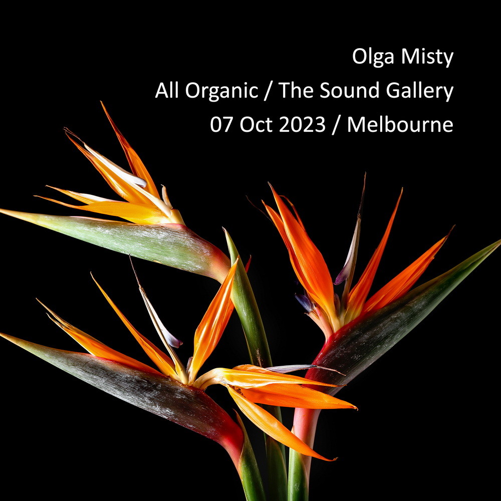 Olga Misty - All Organic / The Sound Gallery [07 Oct 2023], Howler ...