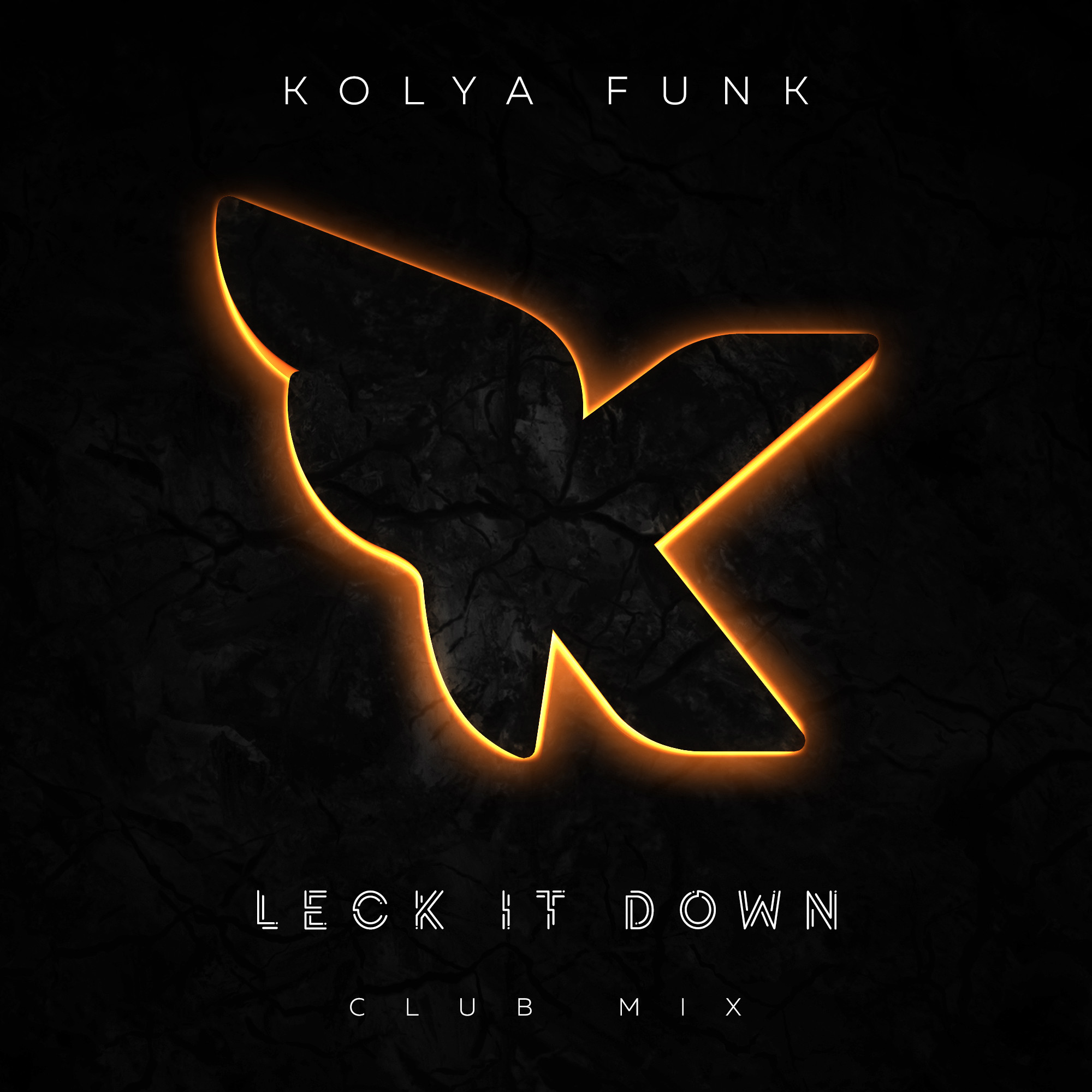 Kolya Funk - Leck It Down (VIP Extended Mix) – DJ KOLYA FUNK