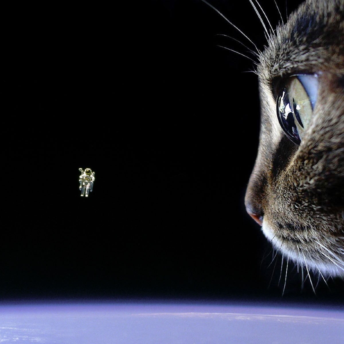 LEX - Dark Progressive Deep House Wave (October 2023) – LEX