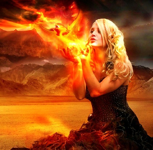 Sonic Scope - Phoenix – Sonic Scope