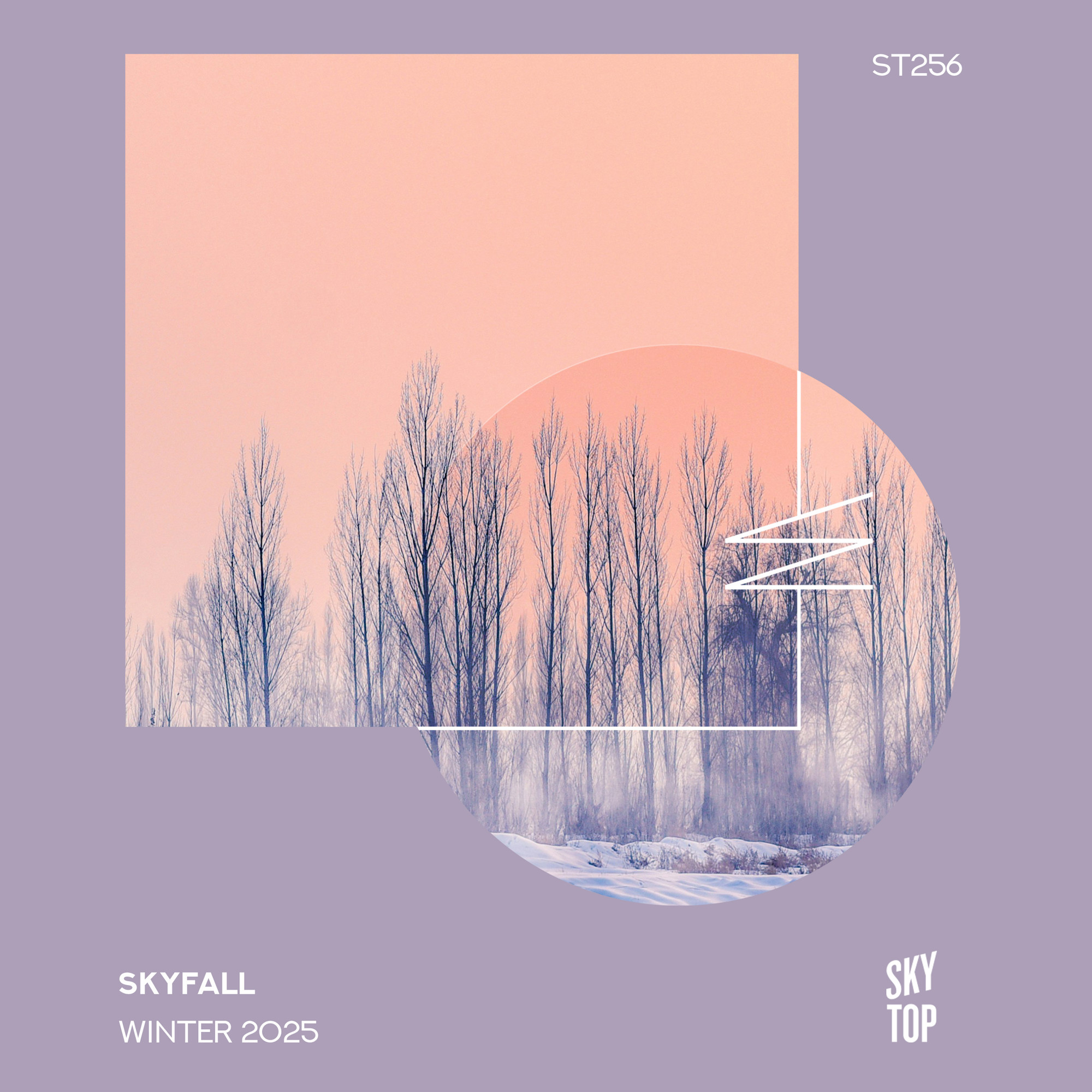 Alexey Sonar - SkyFall Winter 2025 (DJ Mix) [SkyTop] – Alexey Sonar