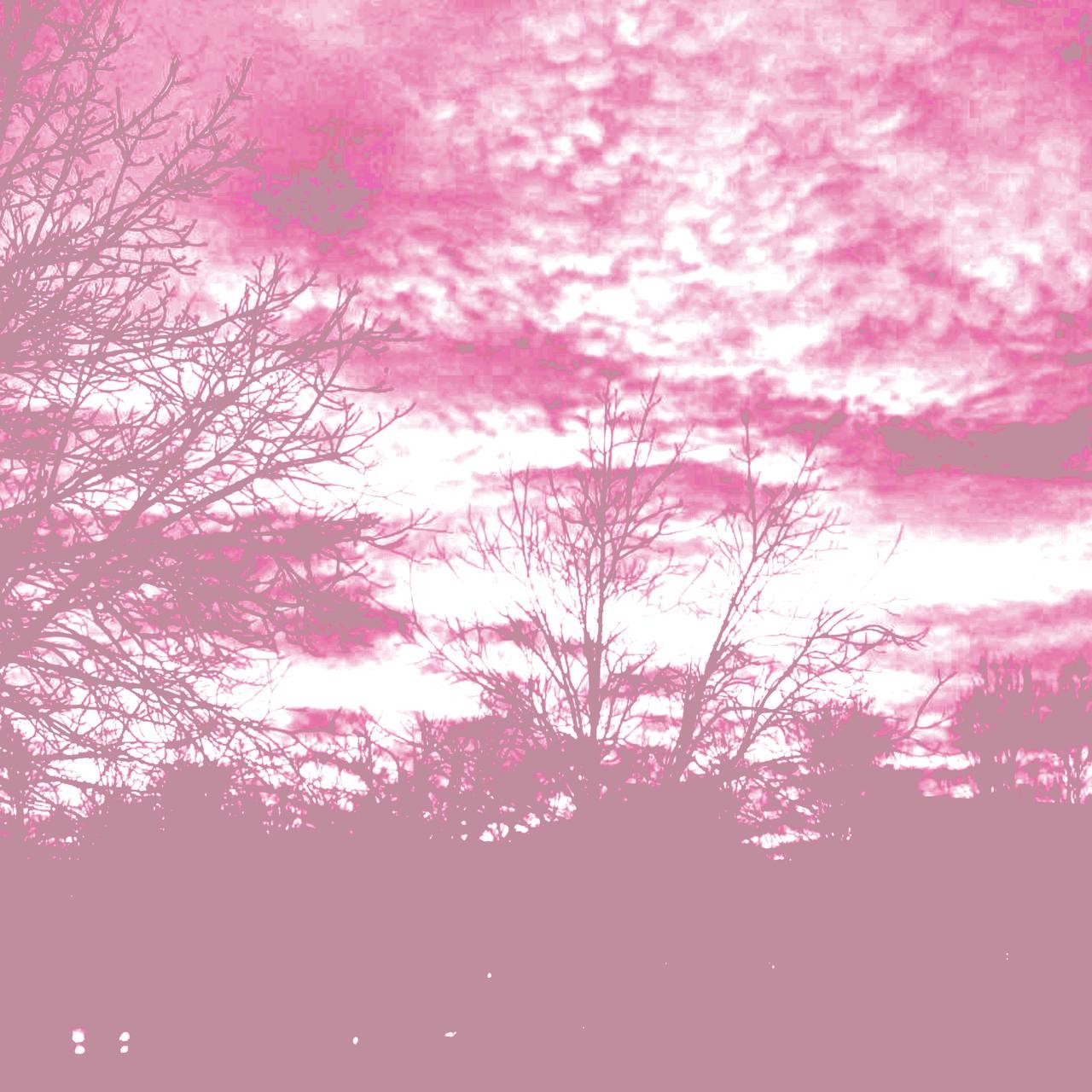 Aømioomørï - Flying Princess (Of The Phonk Kingdom) – Aømioomørï