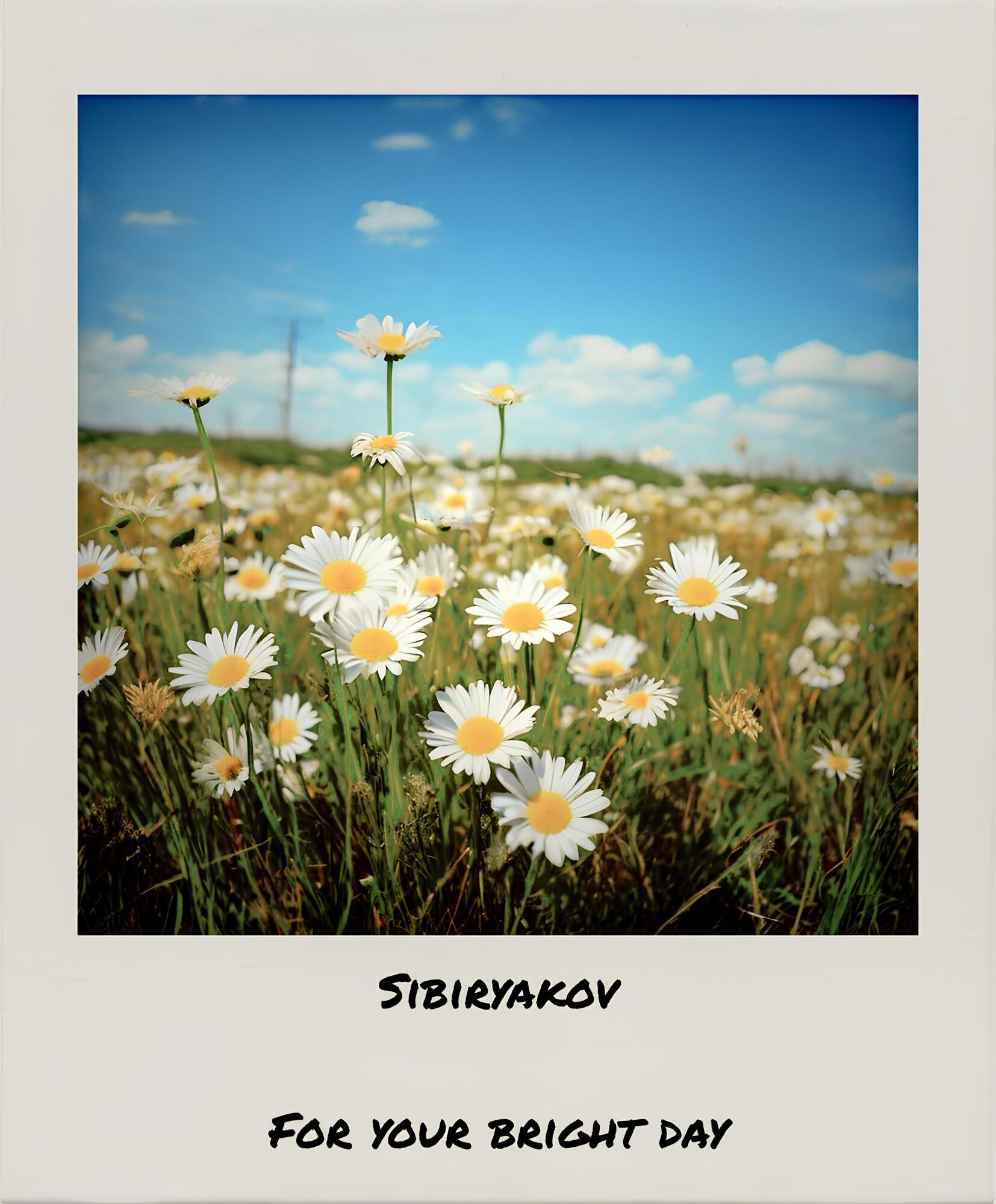 SIBIRYAKOV "For Your Bright Day" – IGOR SIBIRYAKOV