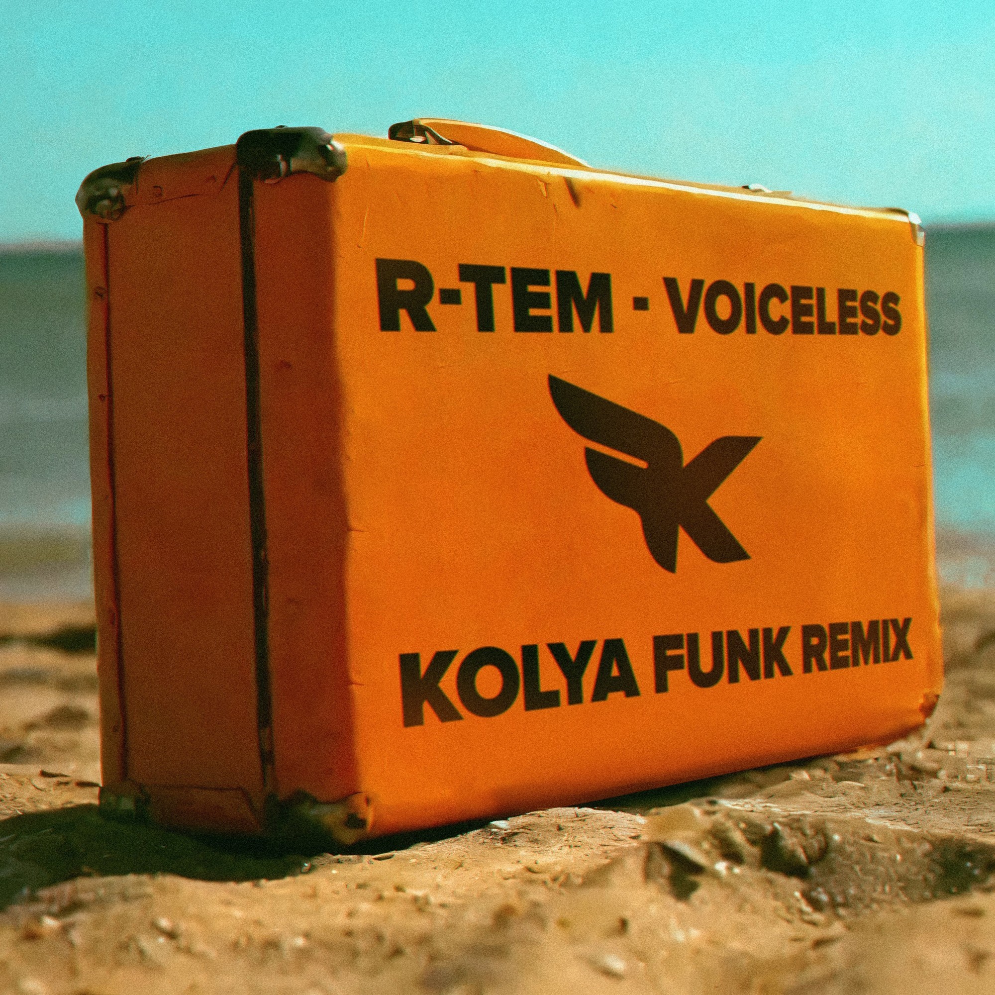 R-Tem - Voiceless (Kolya Funk Remix) – DJ KOLYA FUNK