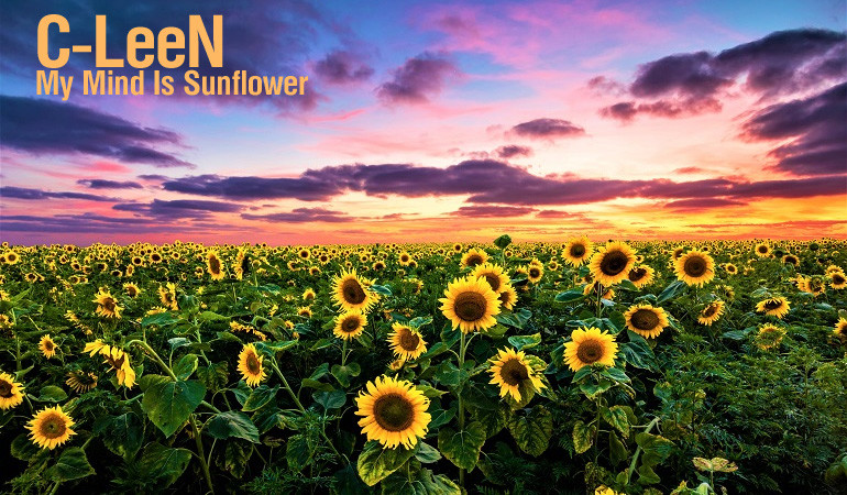 C-LeeN - My Mind Is Sunflower – DJ C-LeeN // ДЖ Силин