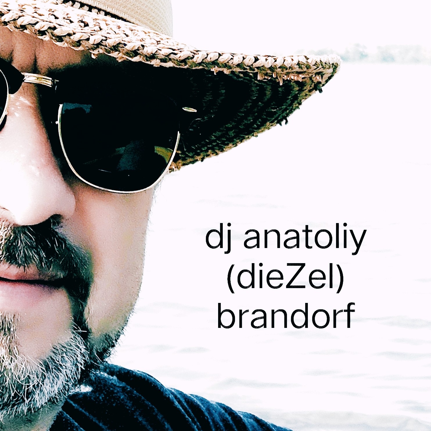 Disco Sensation - DJ ANATOLIY BRANDORF – DJ ANATOLIY DIEZEL