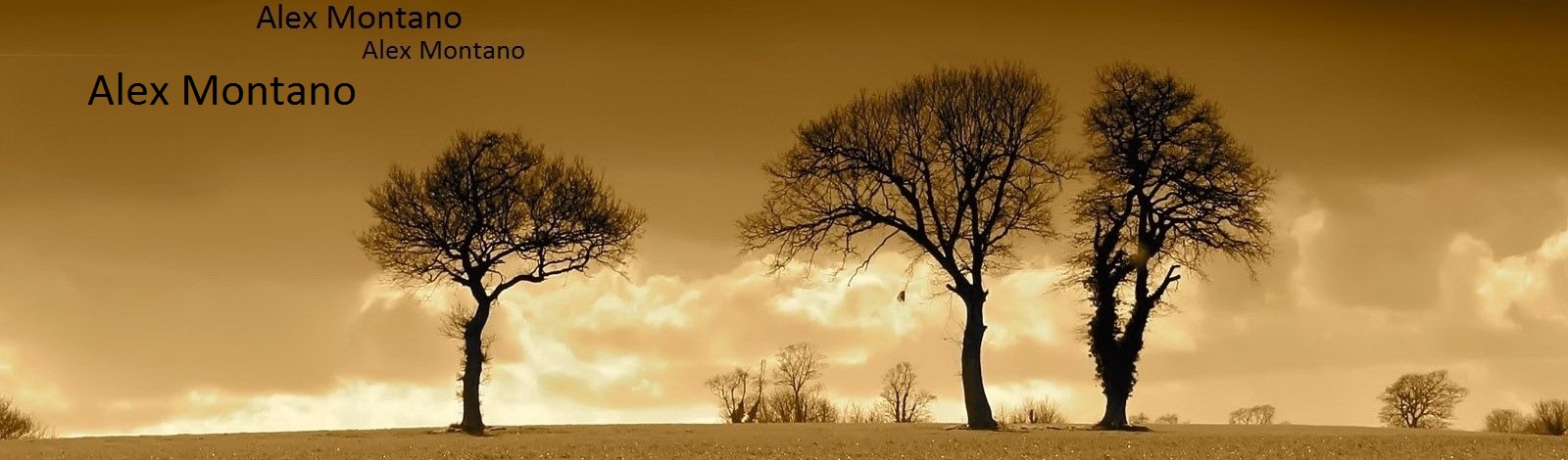 alex montano - effect of light – alex montano