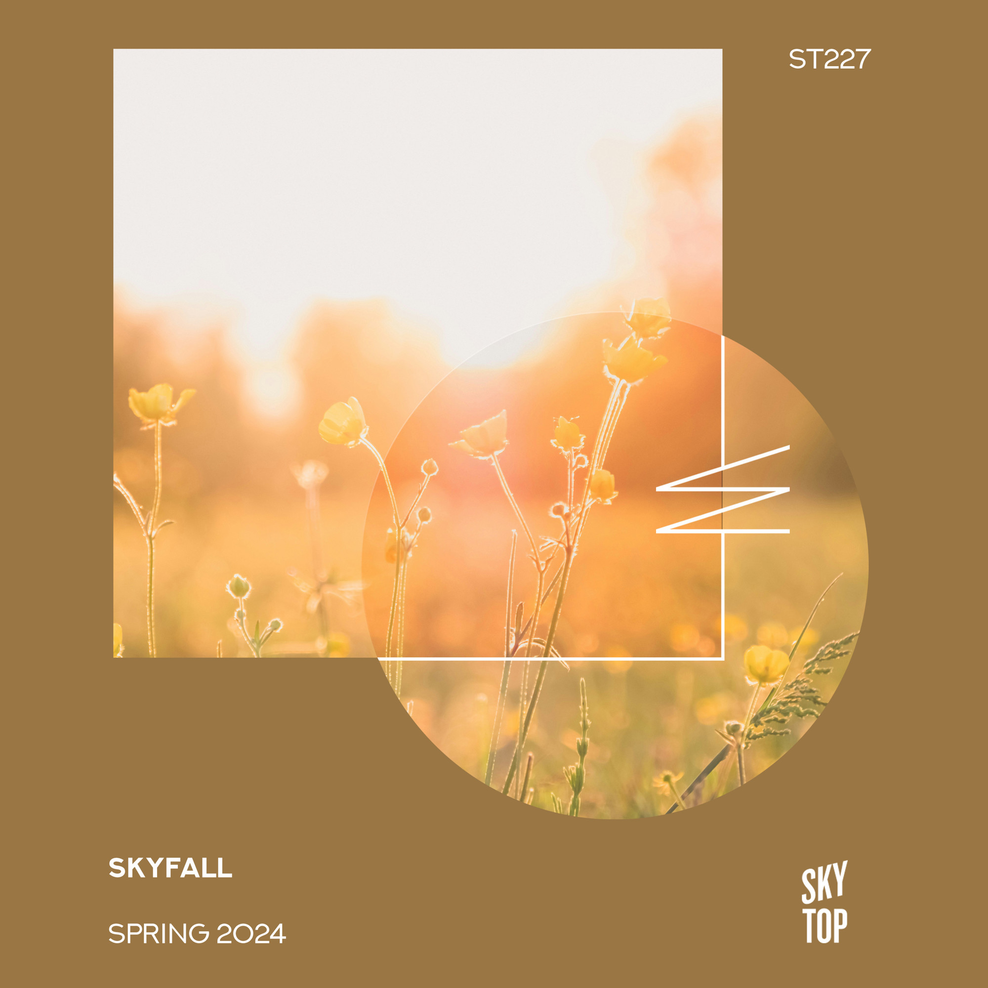 Alexey Sonar - SkyFall Spring 2024 (DJ Mix) [SkyTop] – Alexey Sonar