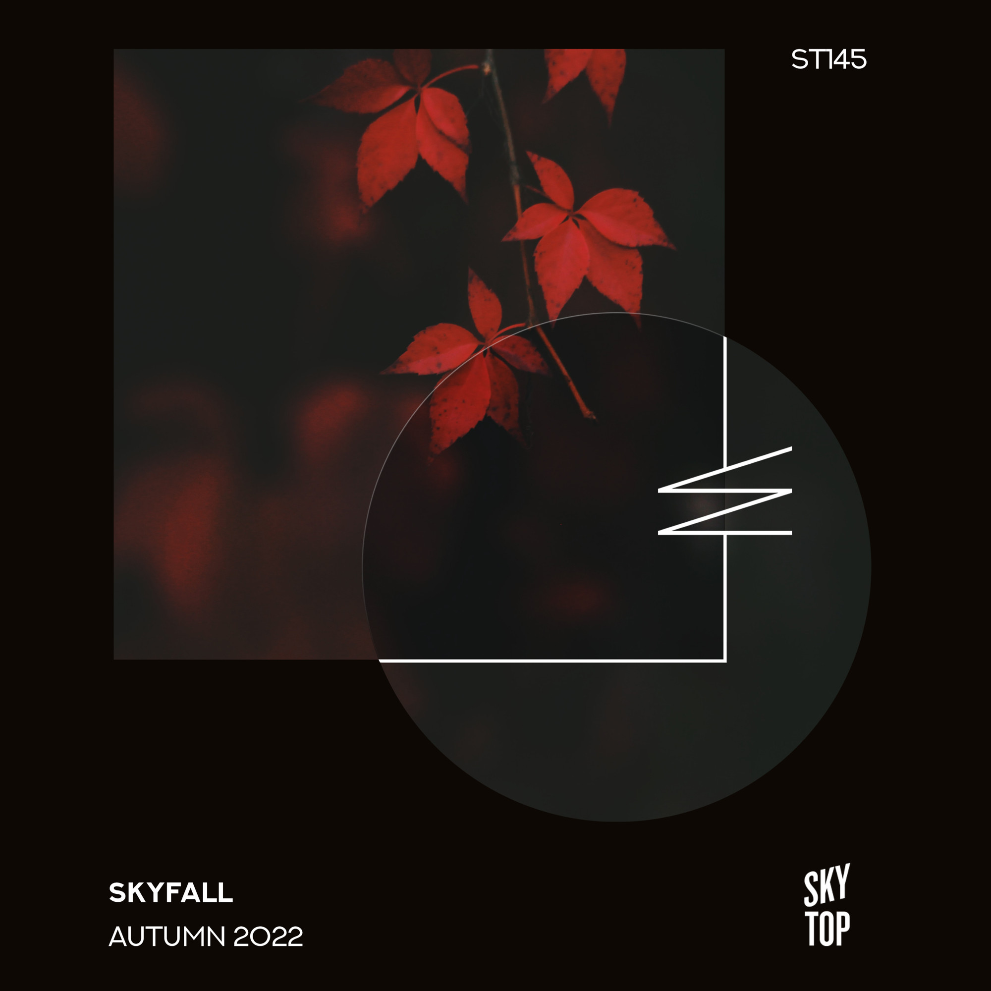 Alexey Sonar - SkyFall Autumn 2022 (DJ Mix) [SkyTop] – Alexey Sonar