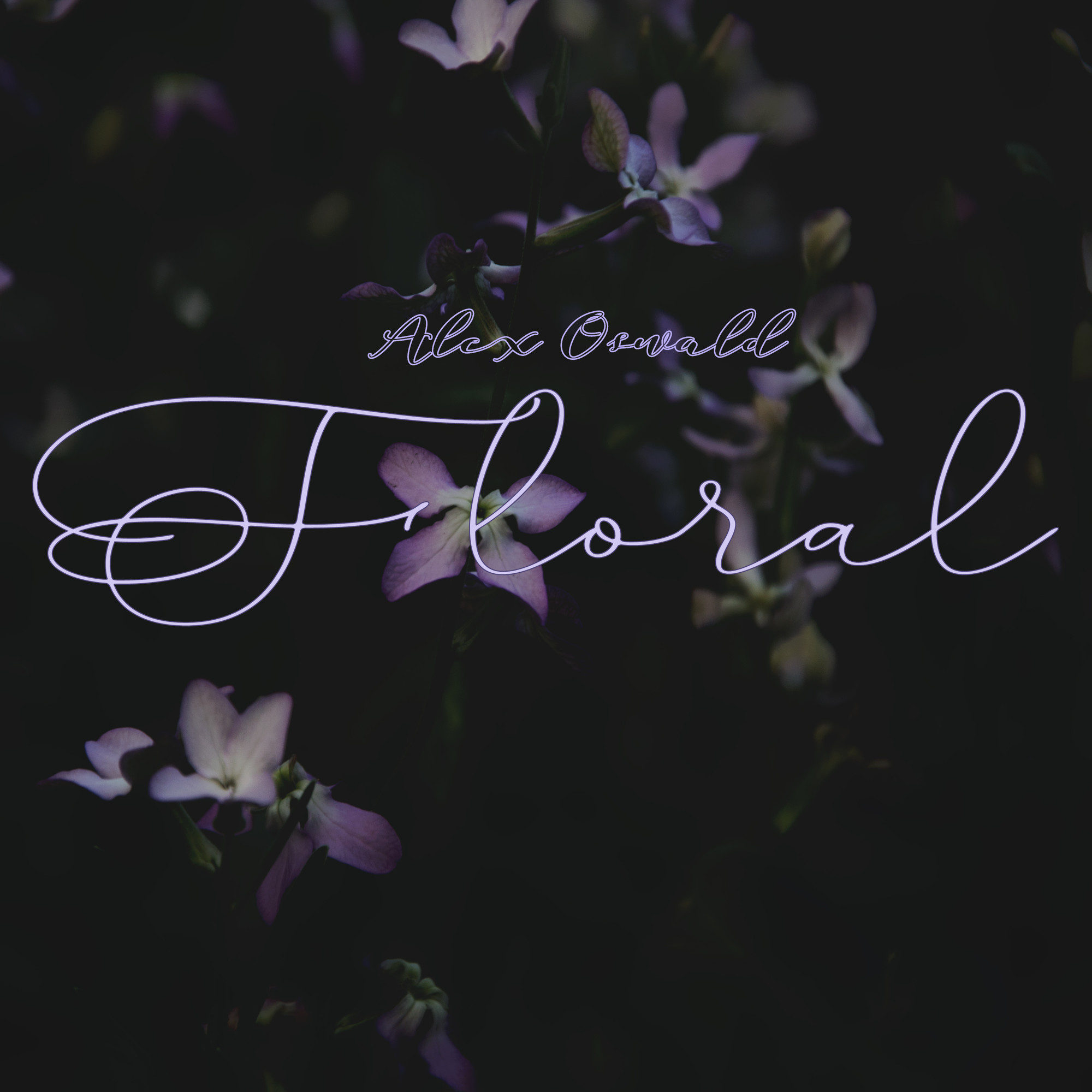 Alex Oswald - Floral – Alex Oswald