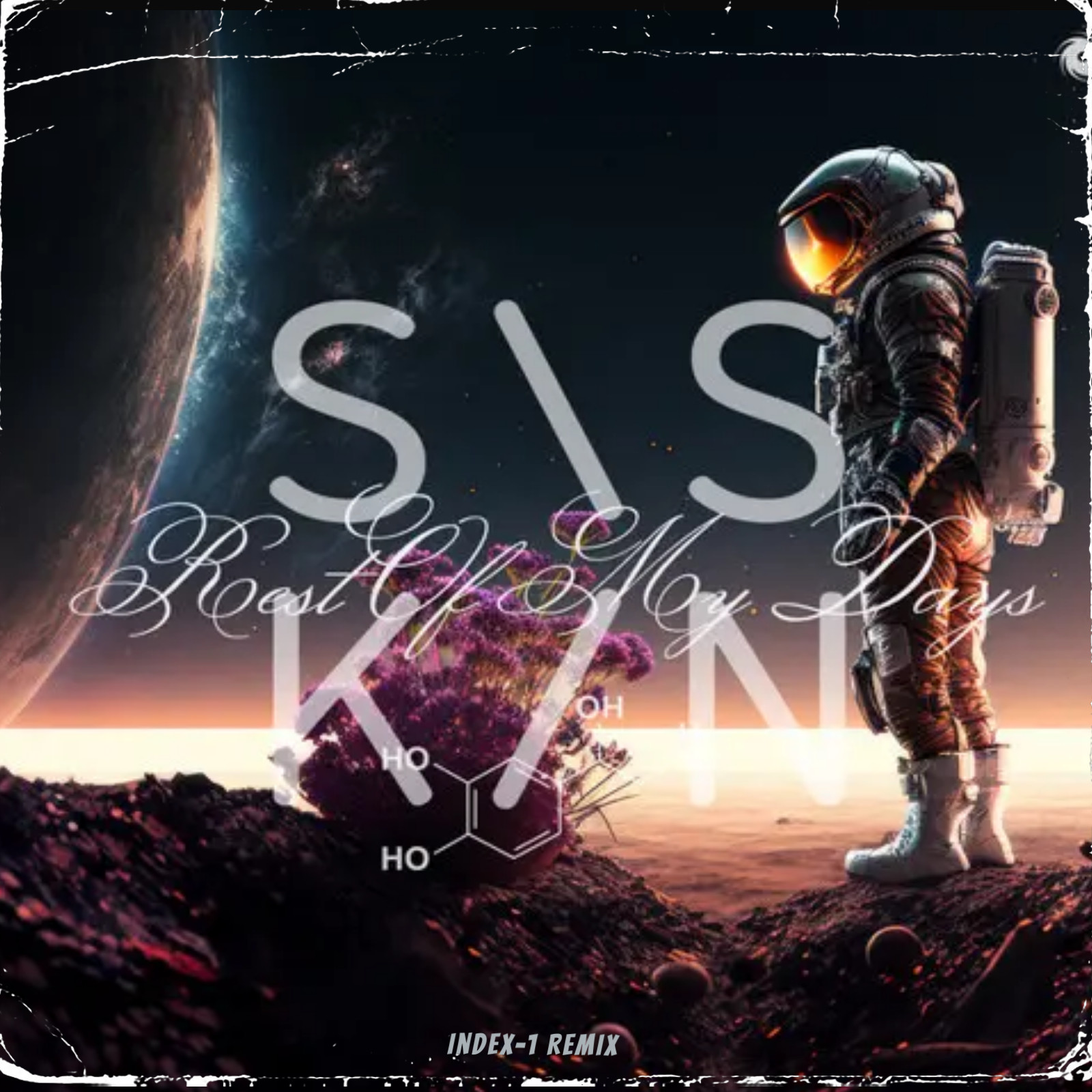 Siskin - Rest of My Days (Index-1 Remix) – INDEX-1