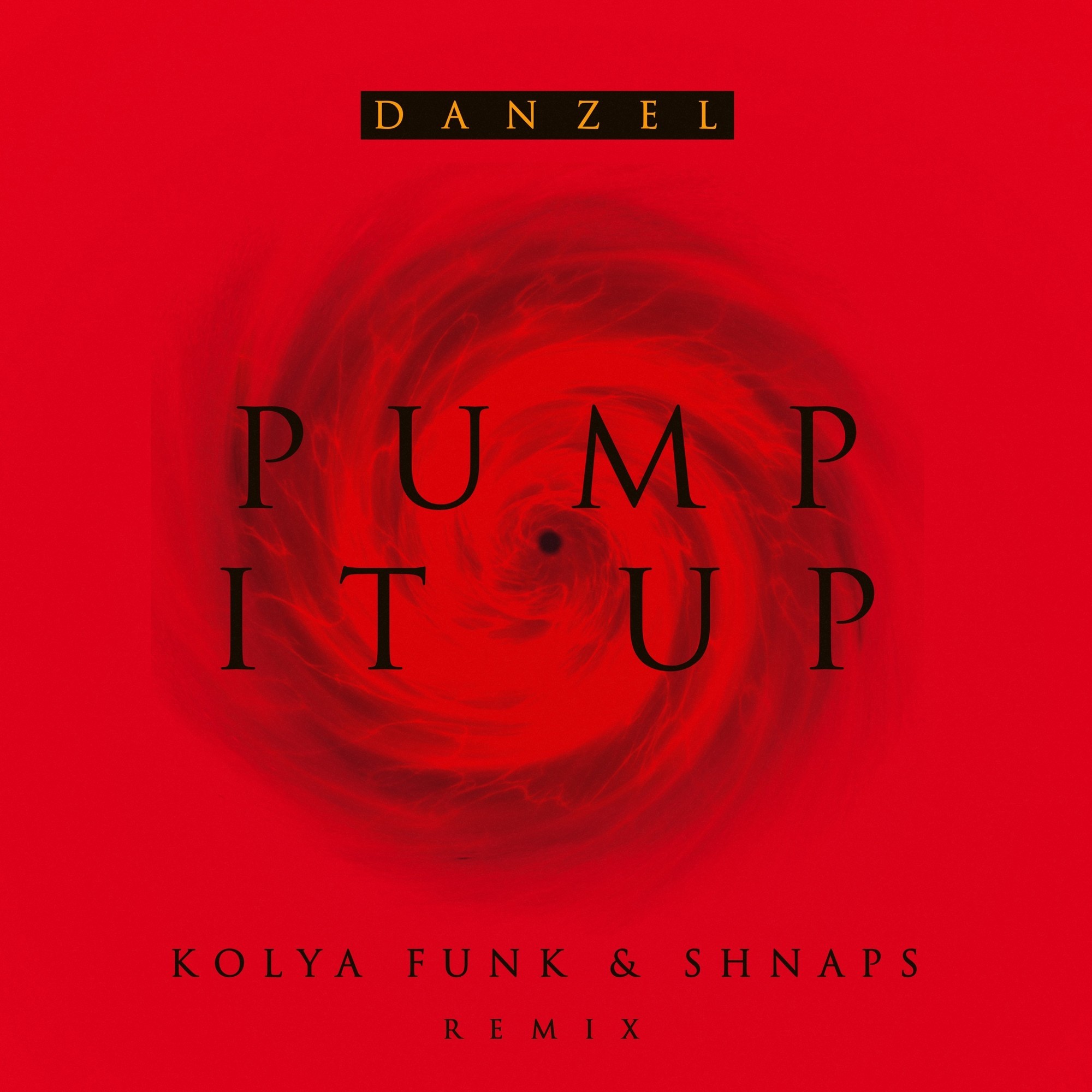 Danzel - Pump It Up (Kolya Funk & Shnaps Extended Mix) – DJ KOLYA FUNK