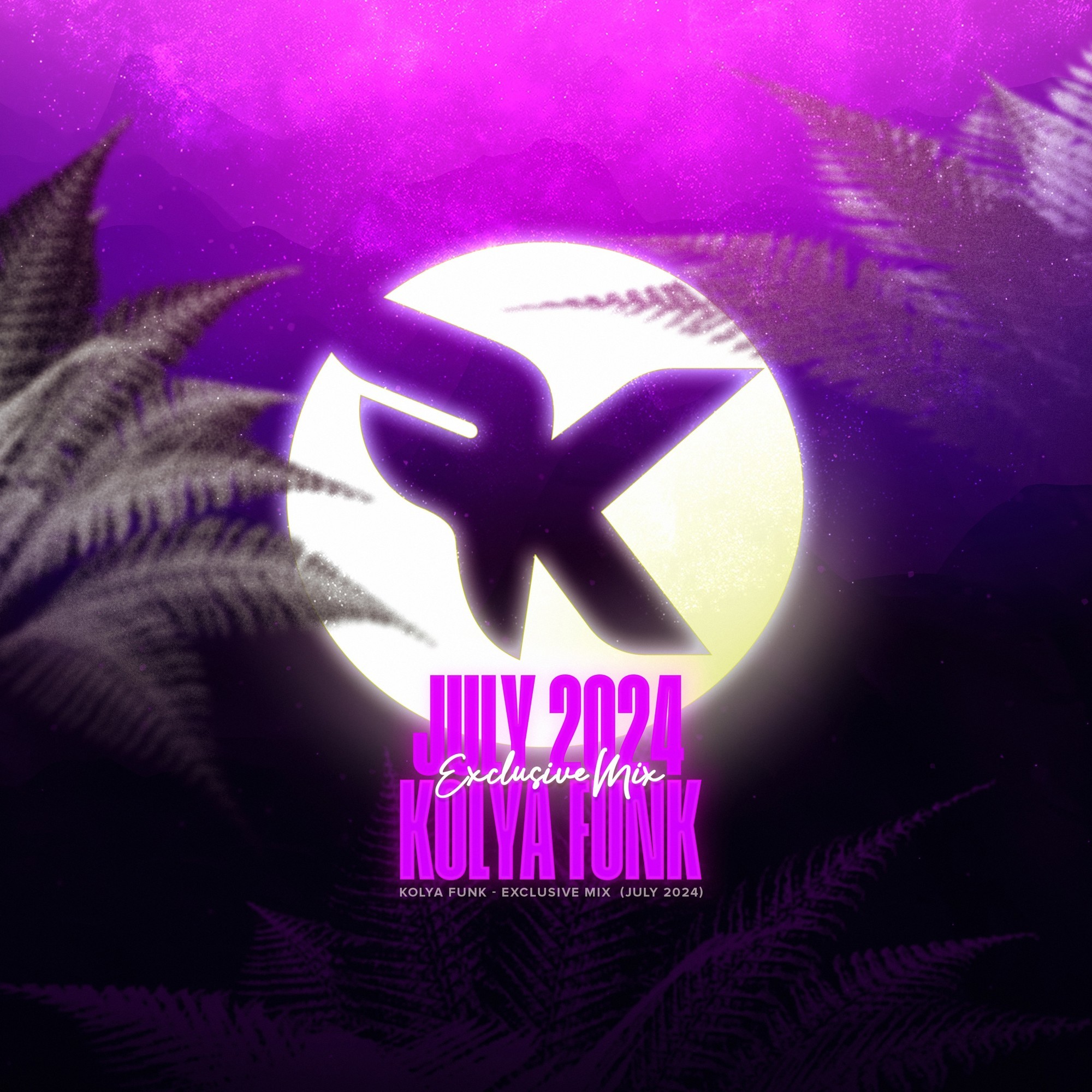 Kolya Funk - Exclusive Mix (July 2024) – DJ KOLYA FUNK