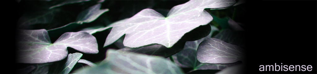 Ambisense – Ambisense
