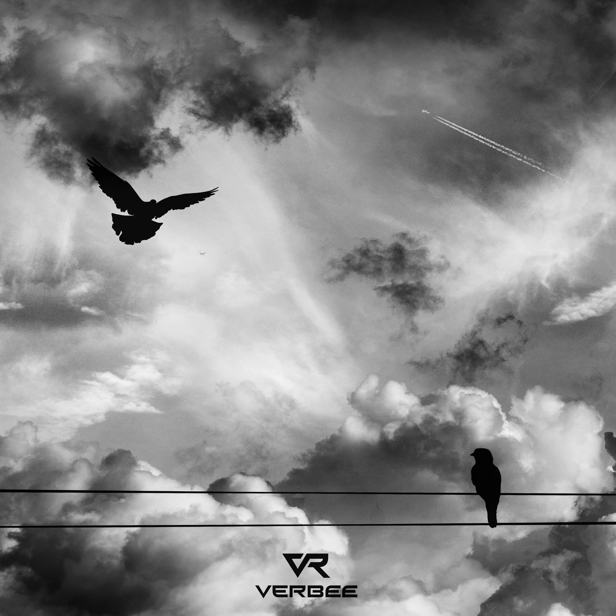 VERBEE - PARADISE (Knyazev & KVMLY Remix) – Knyⱥz